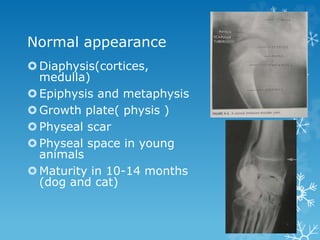 bone and joint1 | PPTX
