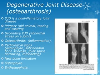 bone and joint1 | PPTX