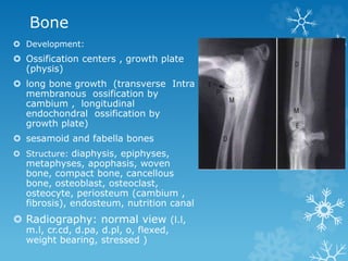 bone and joint1 | PPTX