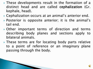 3. patterns of organization | PPTX