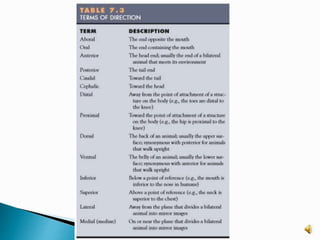 3. patterns of organization | PPTX