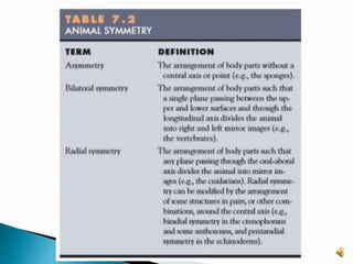 3. patterns of organization | PPTX