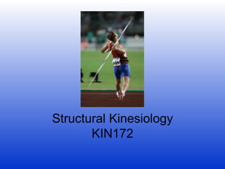 3.%20 Structural%20 Kinesiology | PPT