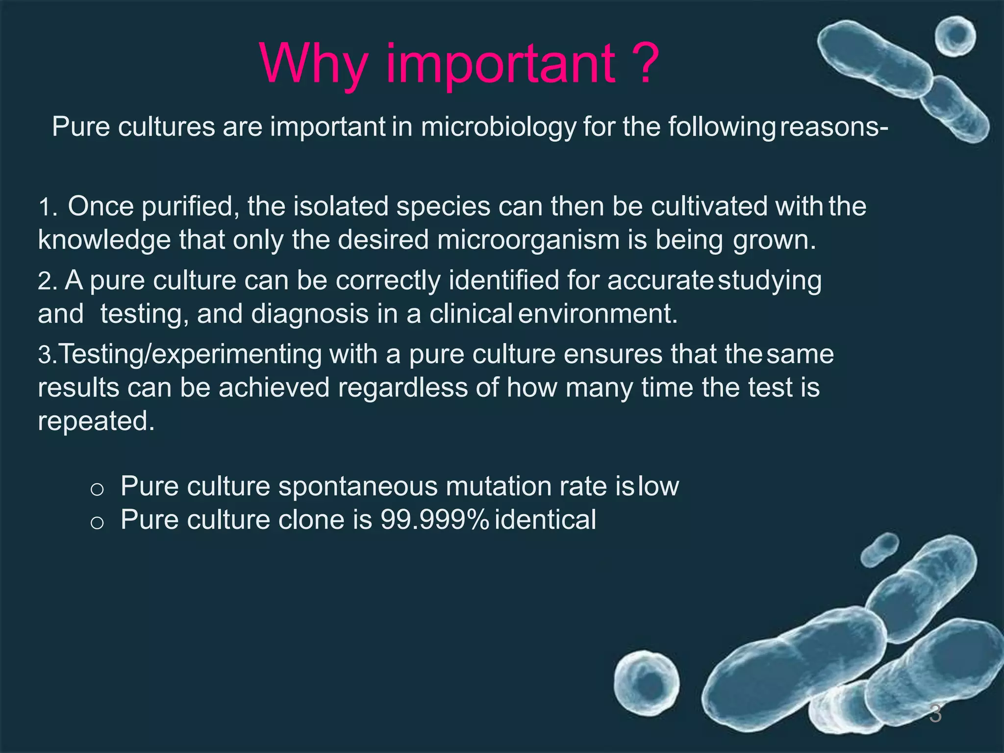 3. isolation of Bacterial culture | PPTX