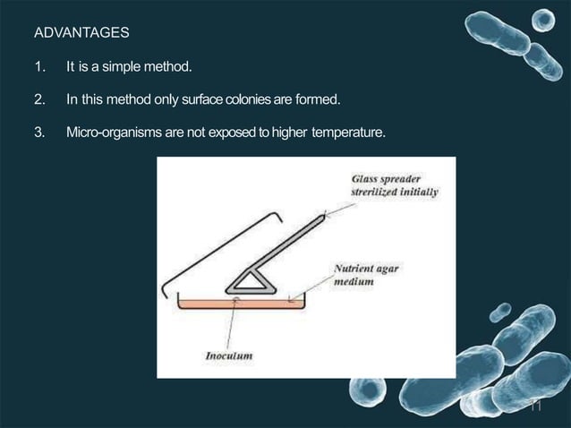 3. isolation of Bacterial culture | PPTX | Biological Sciences | Science