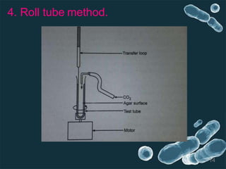 3. isolation of Bacterial culture | PPTX | Biological Sciences | Science