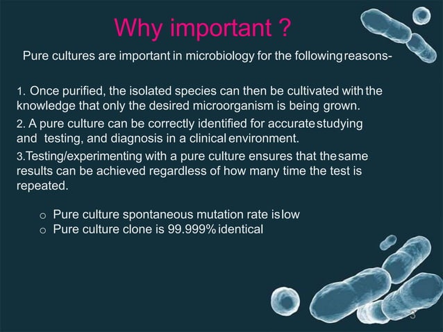 3. isolation of Bacterial culture | PPTX | Biological Sciences | Science