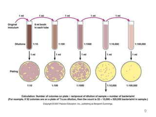 3. isolation of Bacterial culture | PPTX | Biological Sciences | Science