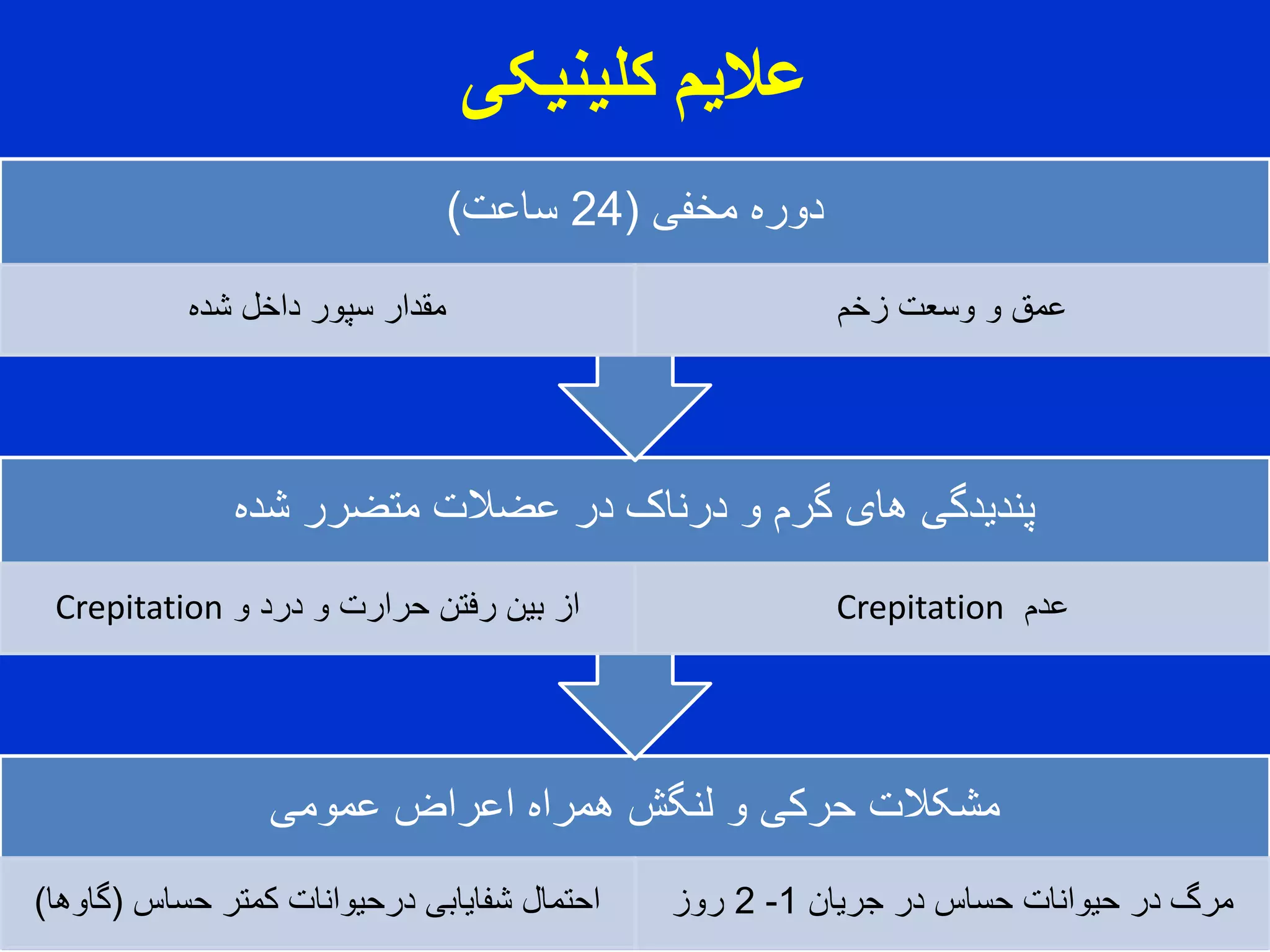 3. malignant edema | PDF