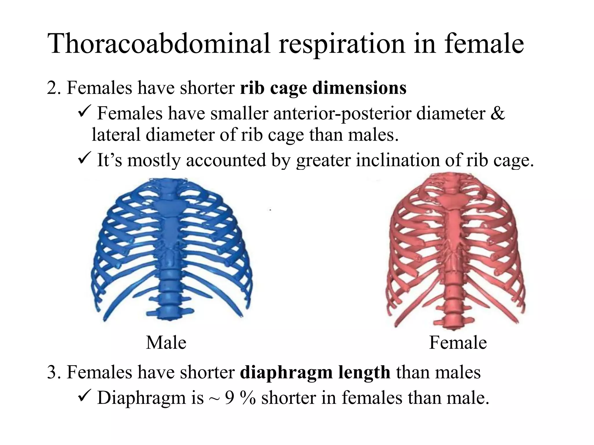 Anatomical basis for respiration in female Vs male | PPTX