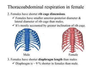 Anatomical basis for respiration in female Vs male | PPTX