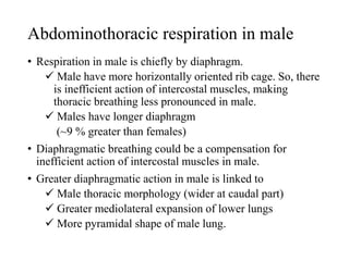 Anatomical basis for respiration in female Vs male | PPTX