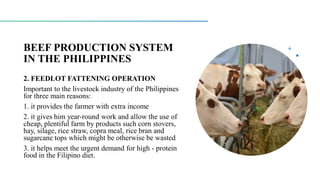 BEEF CATTLE PRODUCTION | PDF