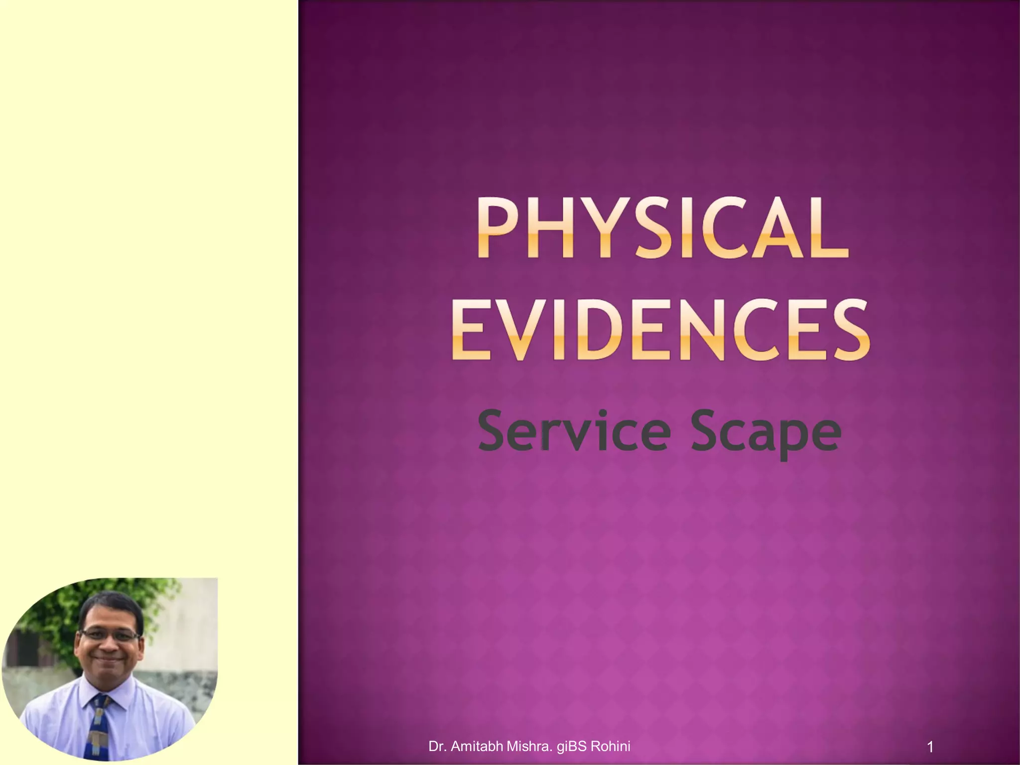 Service Scape | PDF