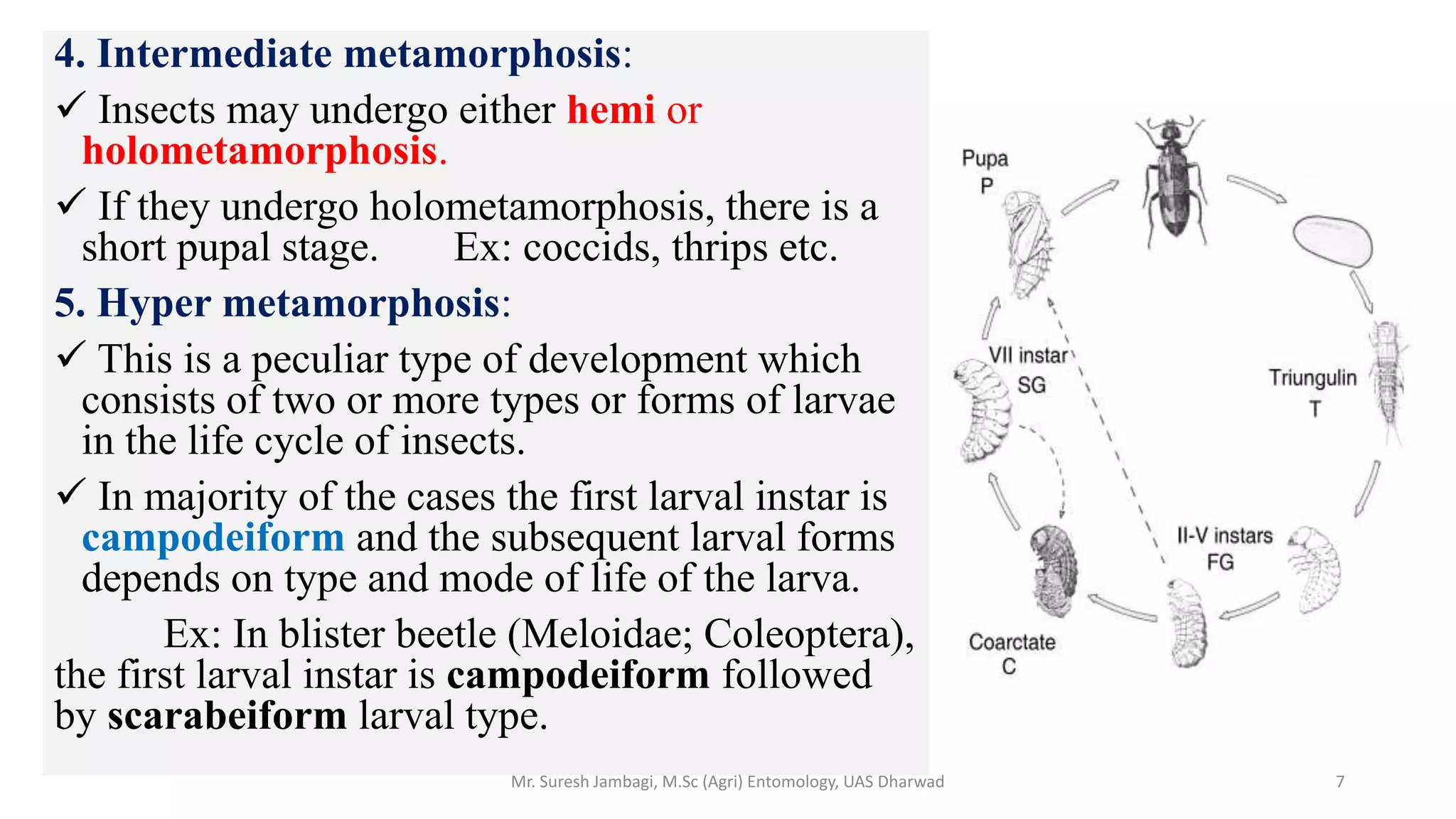 Metamorphosis, Diapause and its types; immature stages of insects | PPTX