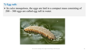 Metamorphosis, Diapause and its types; immature stages of insects | PPTX