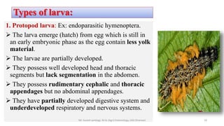 Metamorphosis, Diapause and its types; immature stages of insects | PPTX