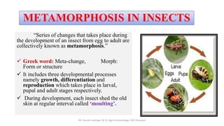Metamorphosis, Diapause and its types; immature stages of insects | PPTX