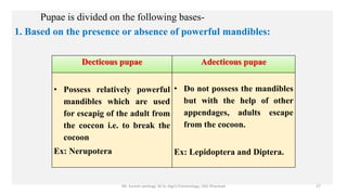 Metamorphosis, Diapause and its types; immature stages of insects | PPTX