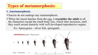 Metamorphosis, Diapause and its types; immature stages of insects | PPTX