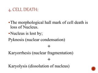 Cell Injury | PPTX