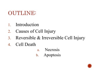 Cell Injury | PPTX