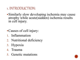 Cell Injury | PPTX