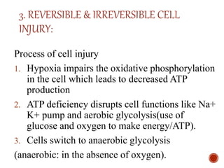 Cell Injury | PPTX
