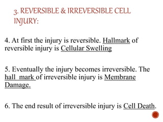 Cell Injury | PPTX