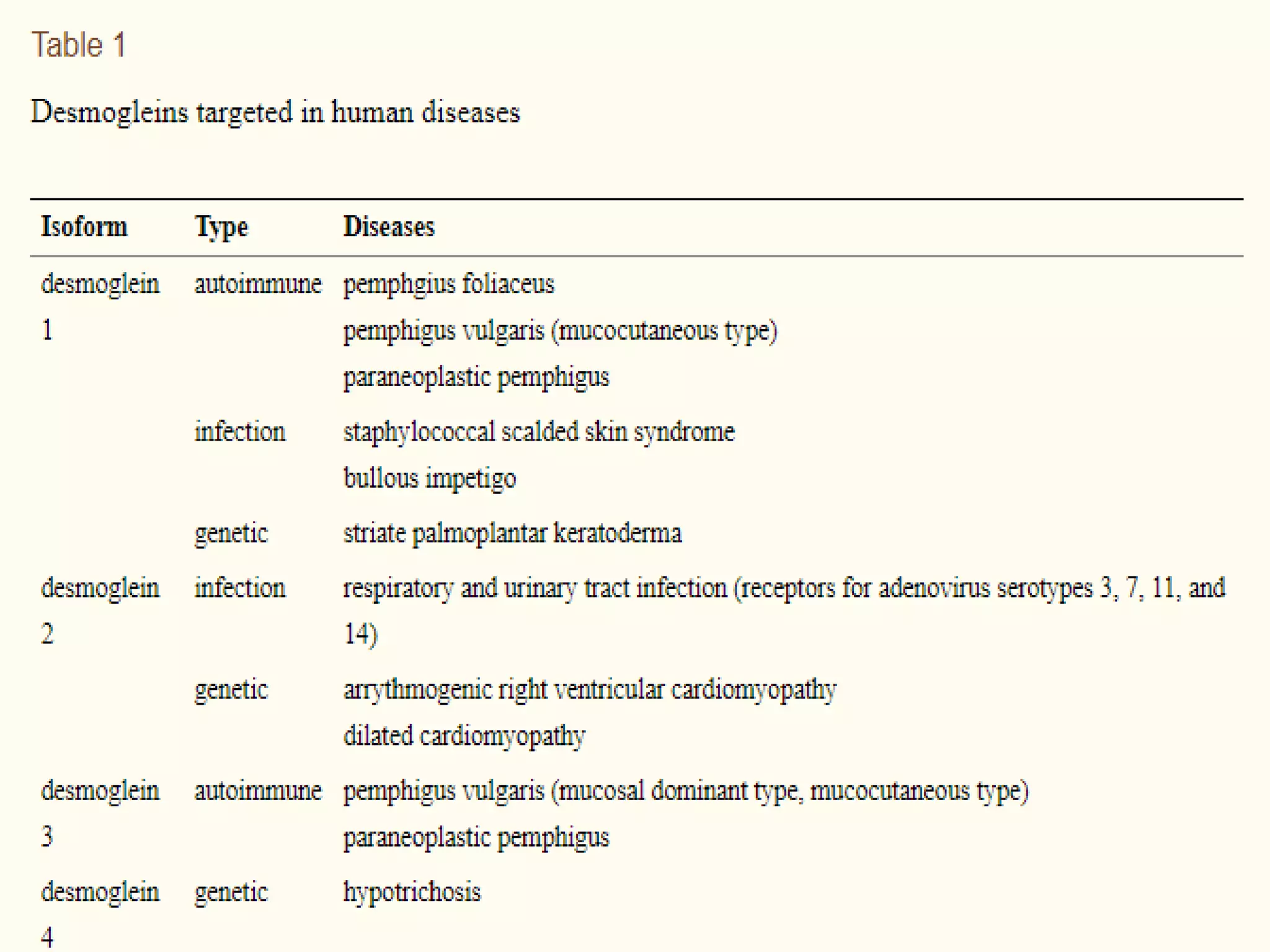 Desmosome & Desmoglein | PPTX
