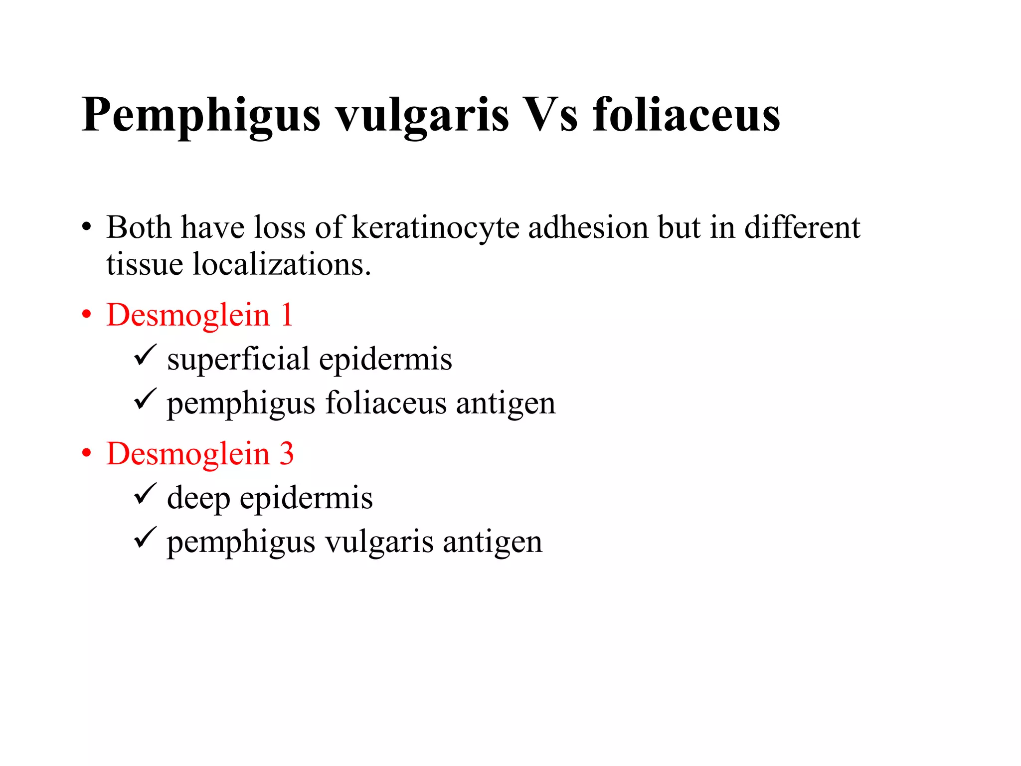 Desmosome & Desmoglein | PPTX
