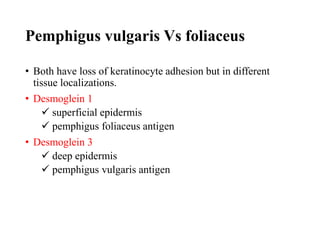 Desmosome & Desmoglein | PPTX