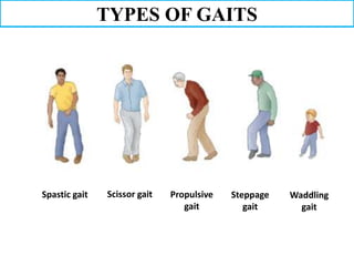 case history in paediatric dentistry | PPT