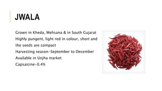 Red chilli | PPTX