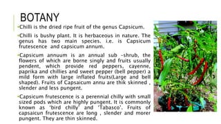 Red chilli | PPTX