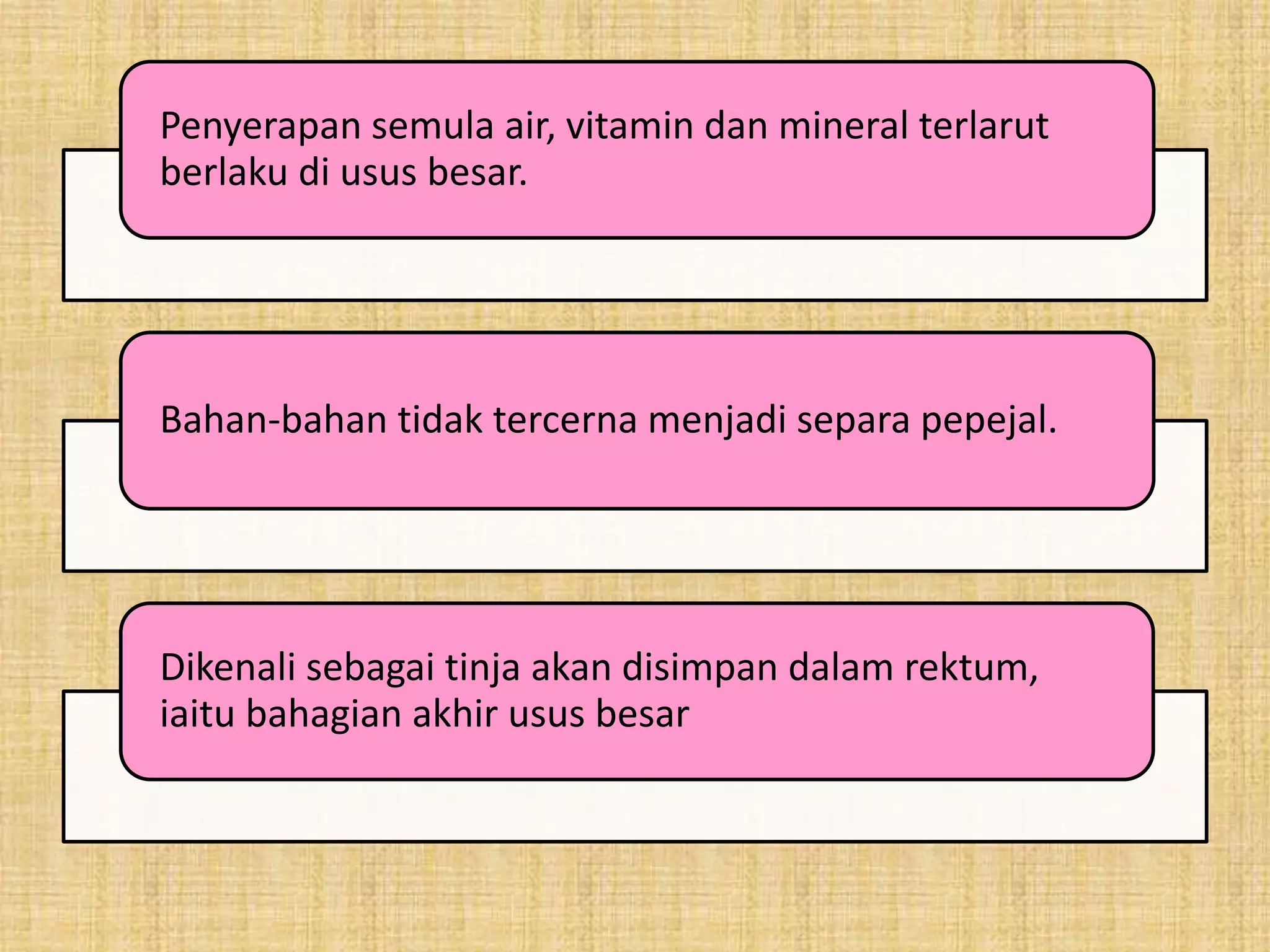 Sains Tingkatan 2 Nutrisi Pptx