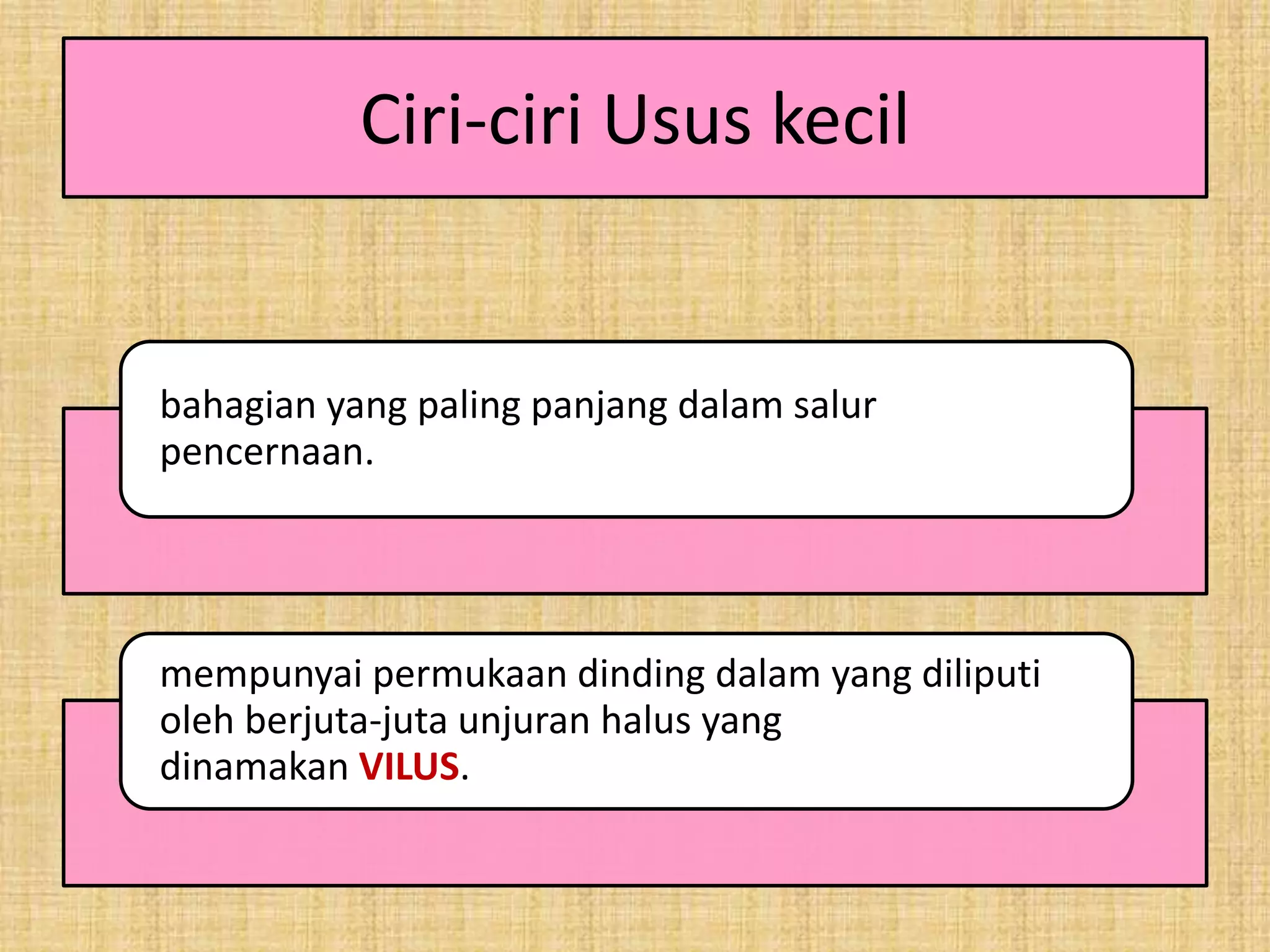 Sains Tingkatan 2 (Nutrisi) | PPTX