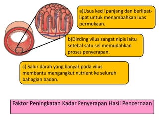 bab 3 Nutrisi | PPTX