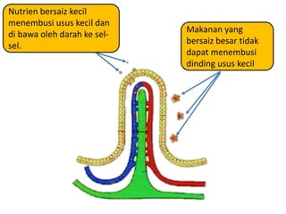 bab 3 Nutrisi | PPTX