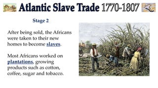 Atlantic Slave Trade - the Triangular Trade | PPTX