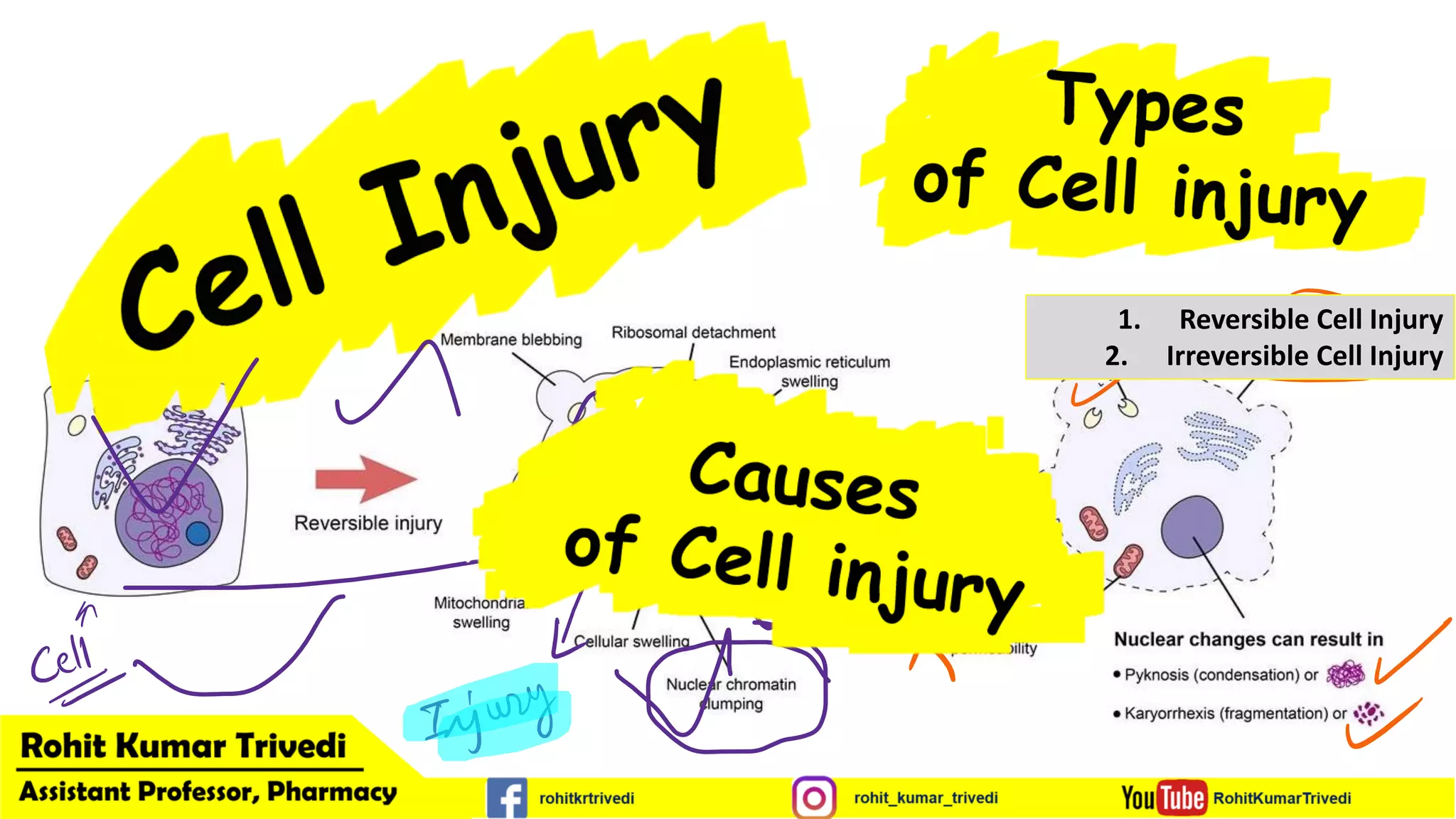 Cell Injury and its causes ppt pdf | PDF