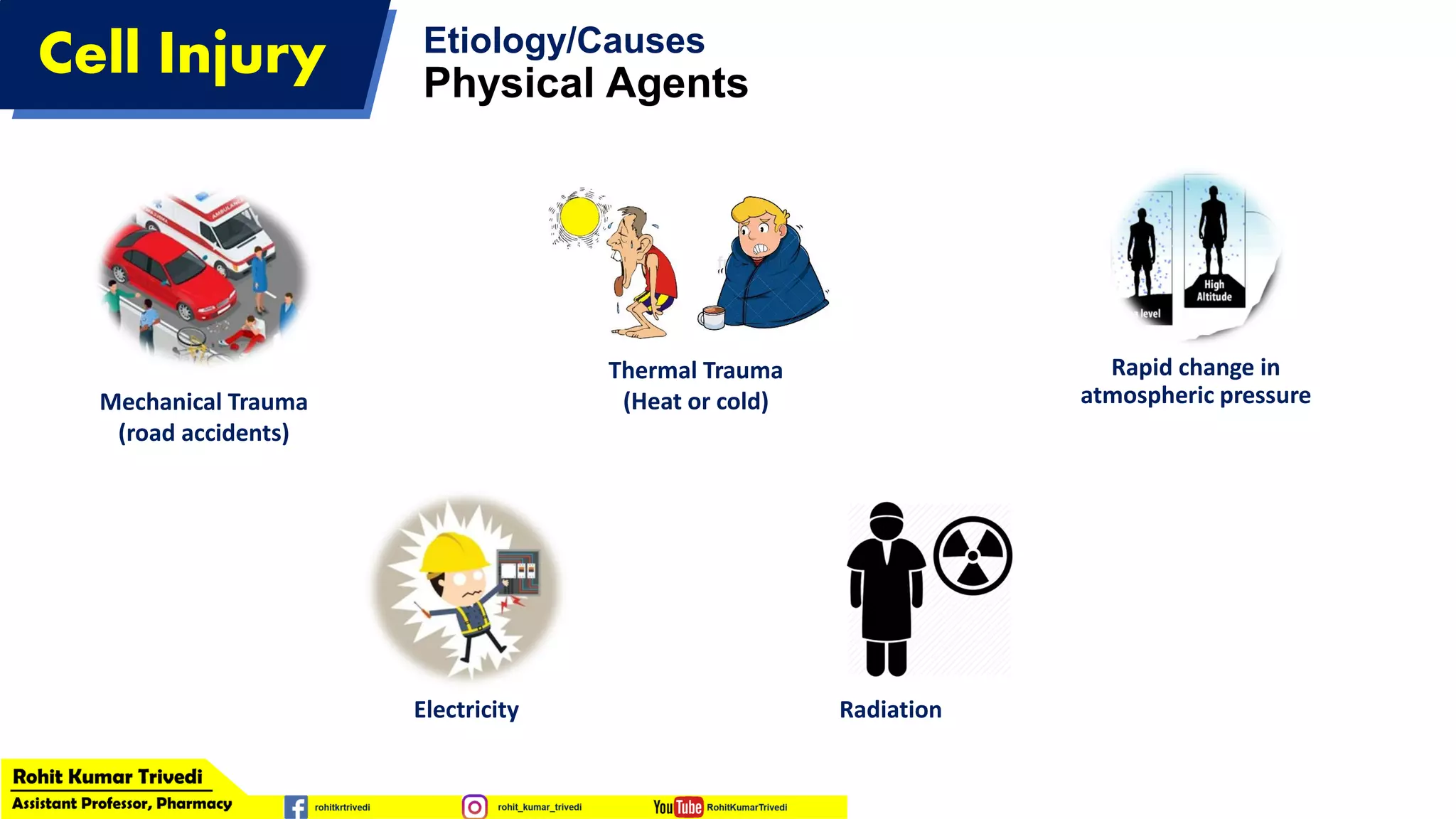 Cell Injury and its causes ppt pdf | PDF