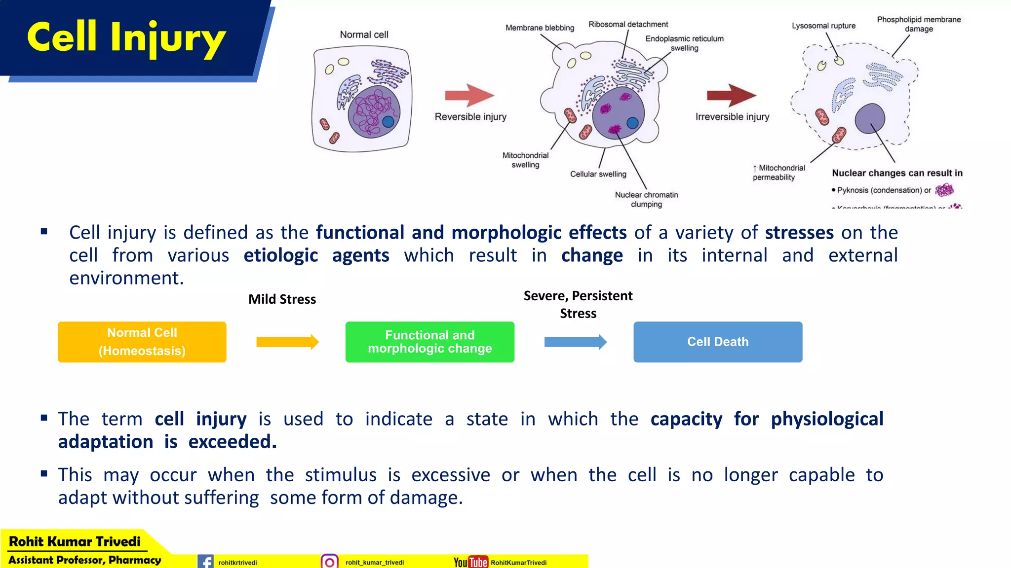 Cell Injury and its causes ppt pdf | PDF