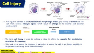 Cell Injury and its causes ppt pdf | PDF
