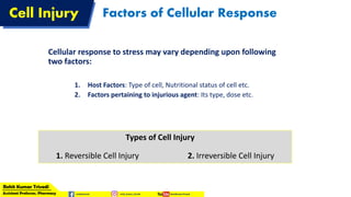 Cell Injury and its causes ppt pdf | PDF