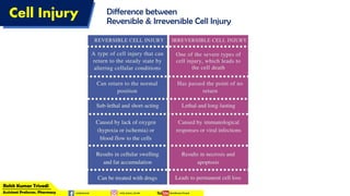 Cell Injury and its causes ppt pdf | PDF