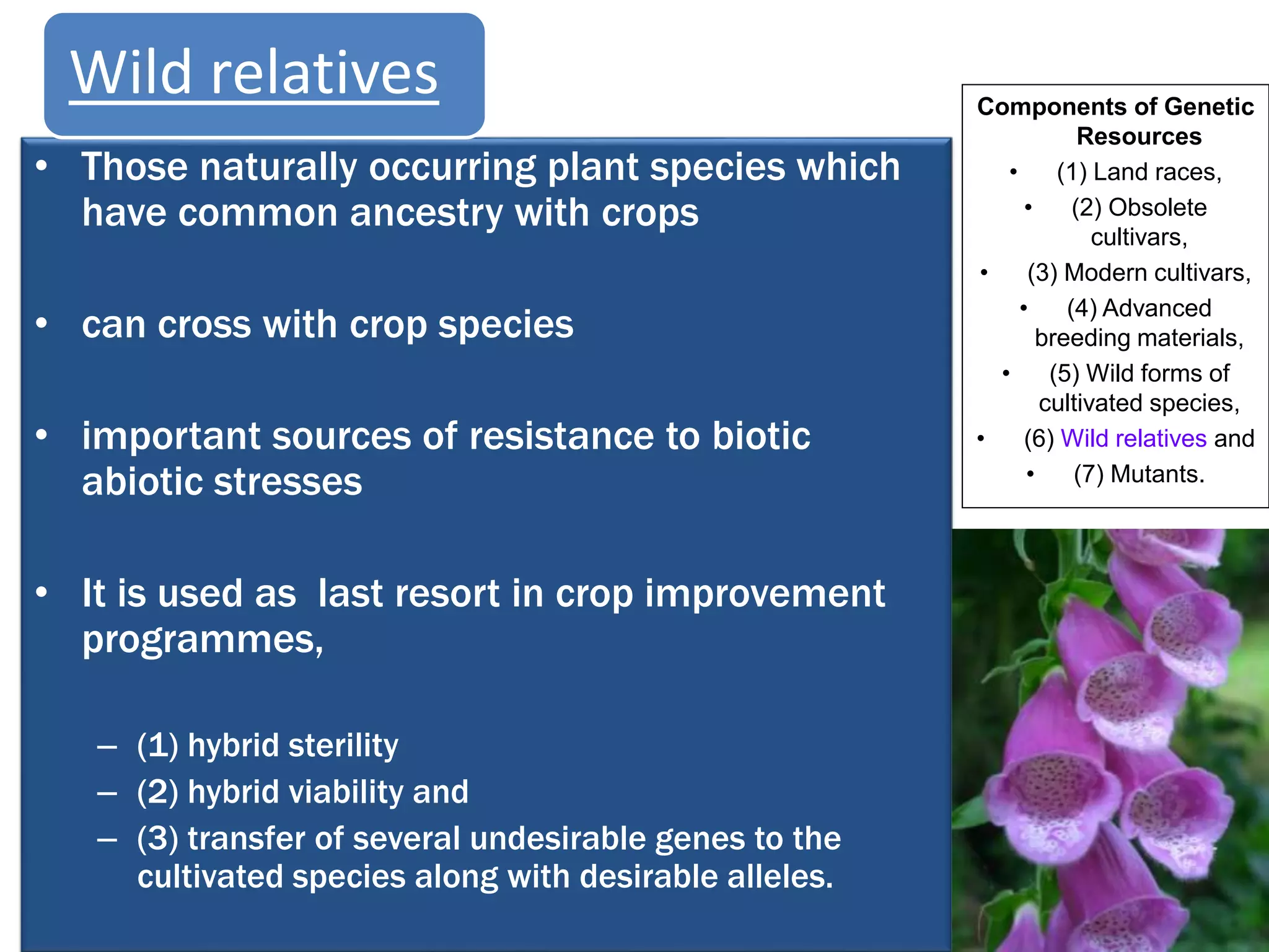 Plant genetic resources their utilization and conservation in crop ...