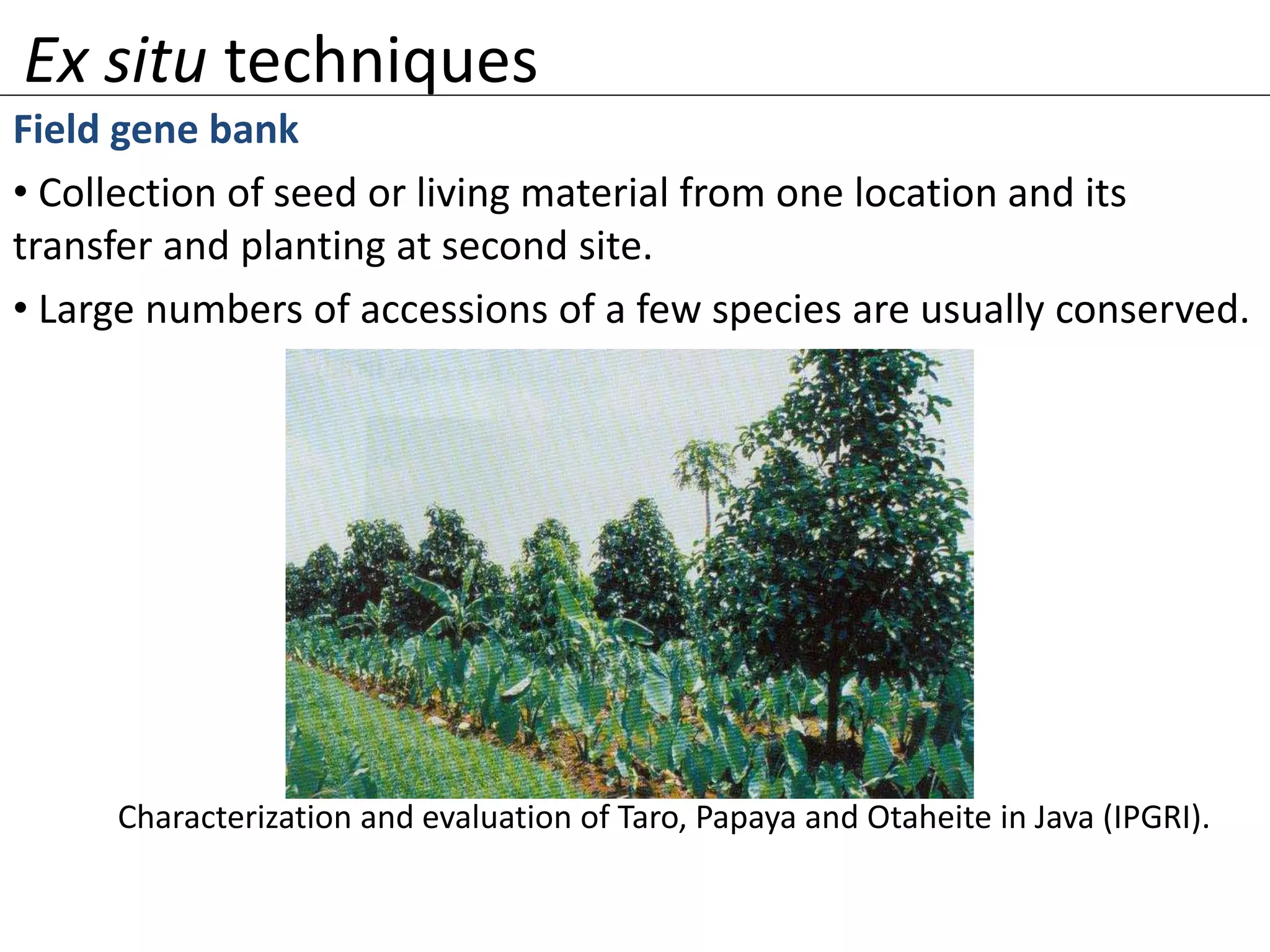 Plant genetic resources their utilization and conservation in crop ...