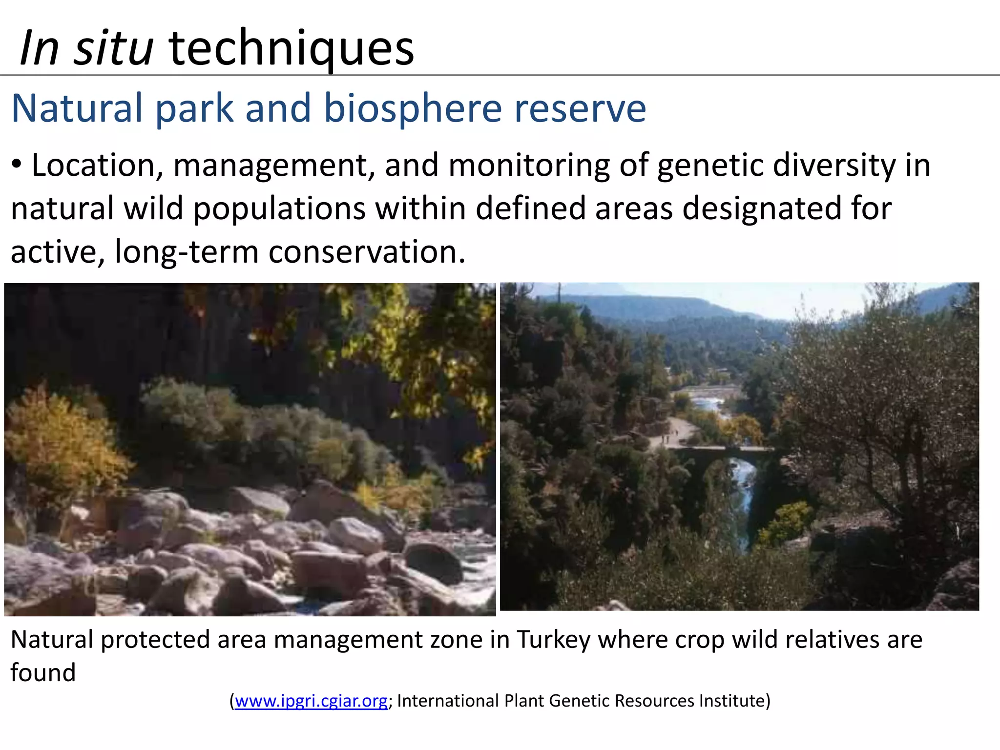 Plant genetic resources their utilization and conservation in crop ...