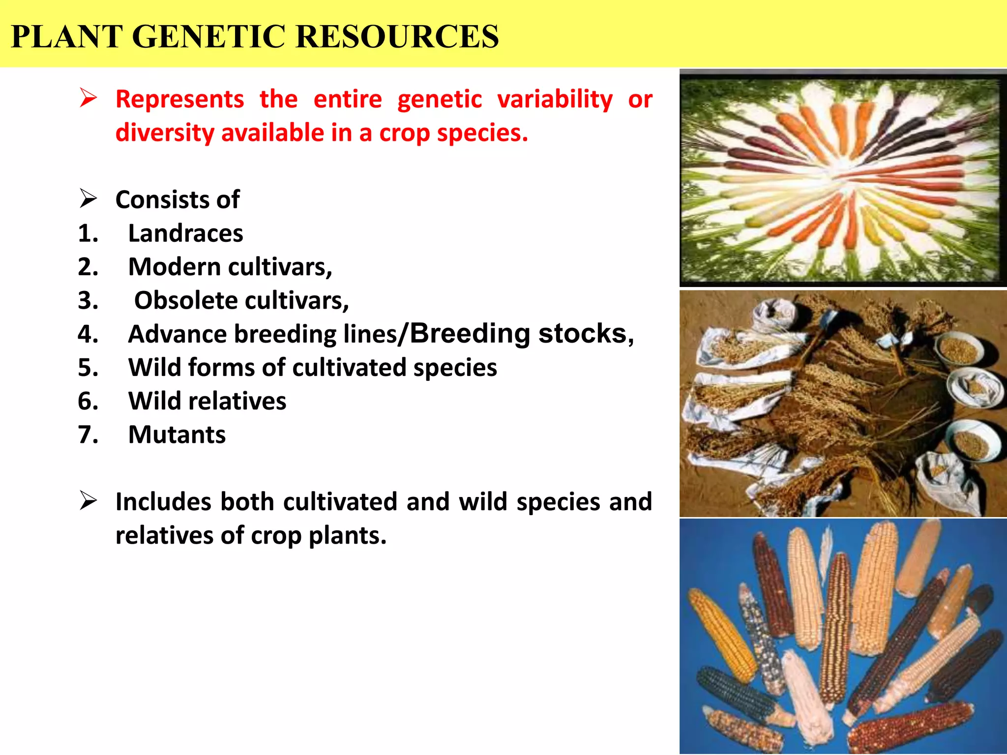 Plant genetic resources their utilization and conservation in crop ...